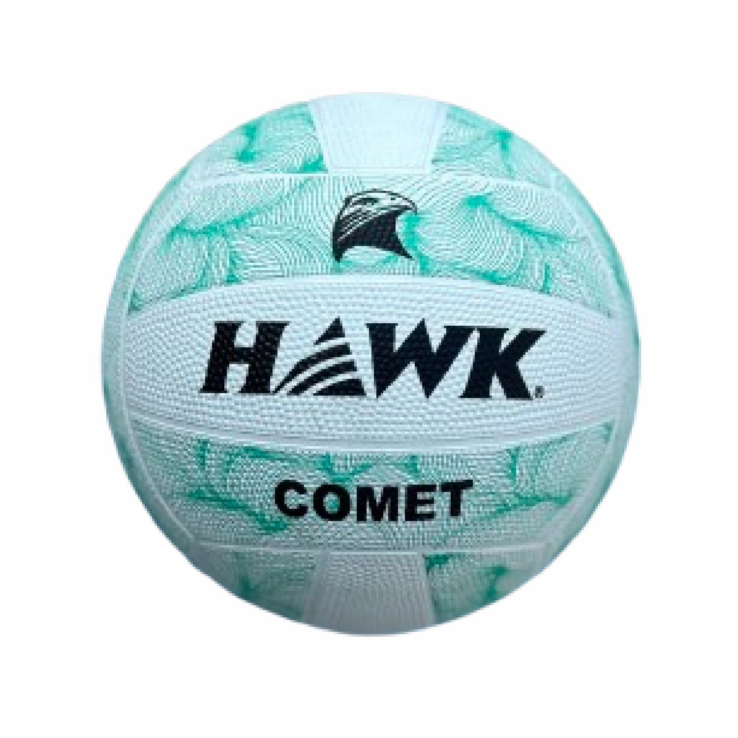 Netball COMET - Hans Raj Mahajan Worldwide