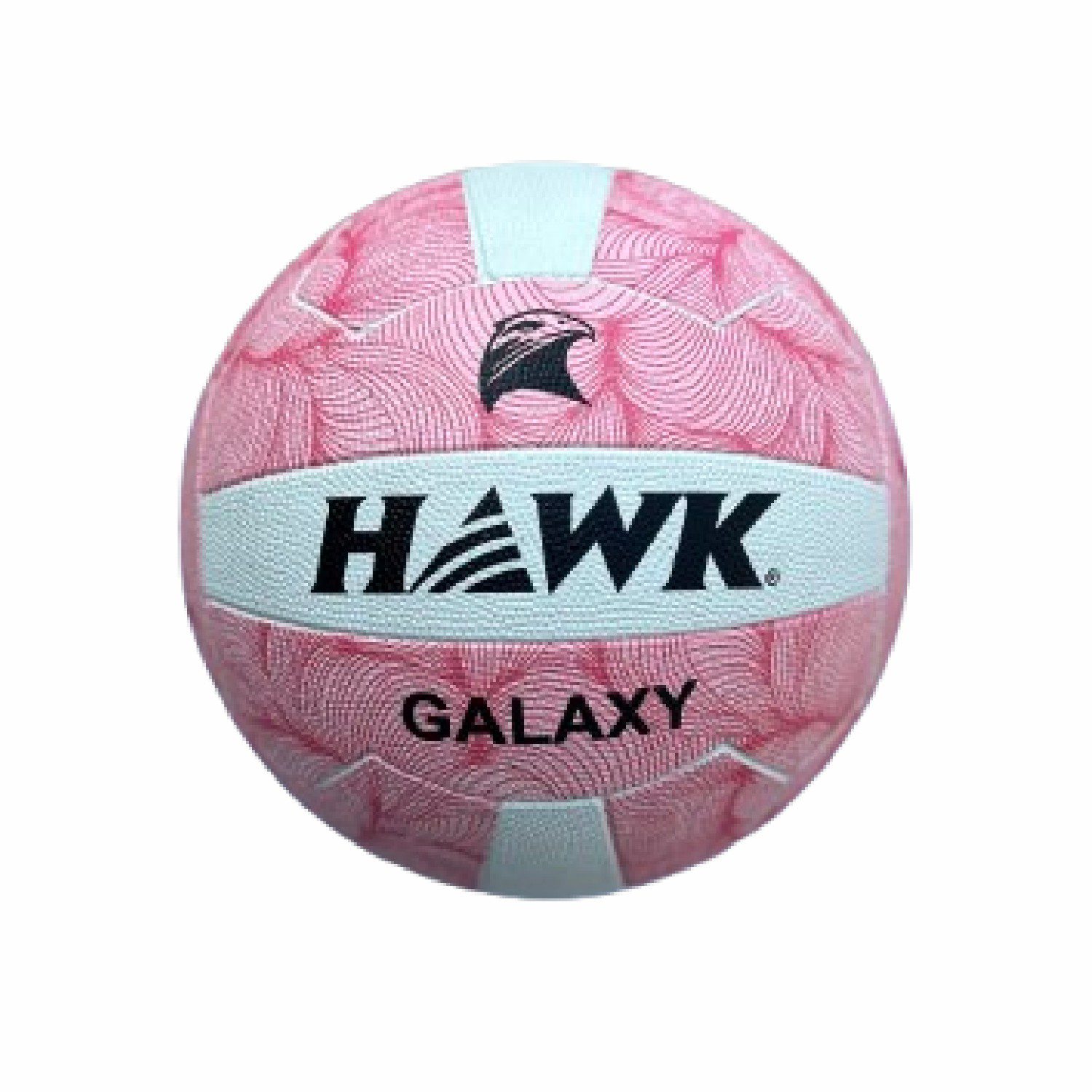 Netball COMET - Hans Raj Mahajan Worldwide