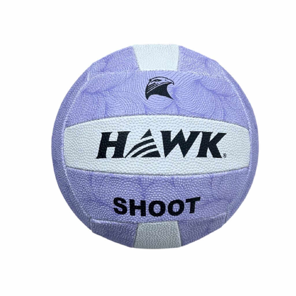 Netball SHOOT - Hans Raj Mahajan Worldwide